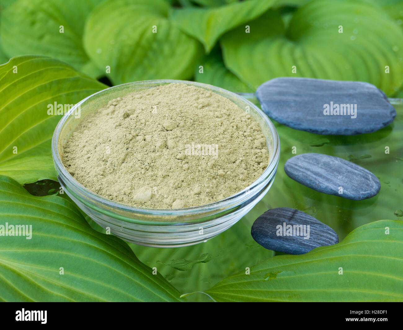 Henna leaves hi-res stock photography and images - Alamy