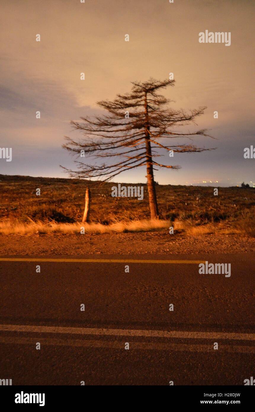 images in the labyrinths of my life Stock Photo - Alamy