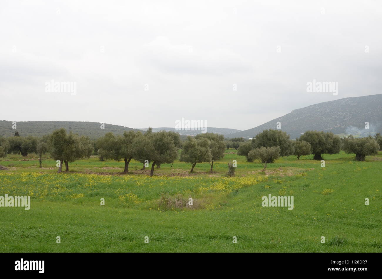 Nature photography out in the open space Stock Photo - Alamy