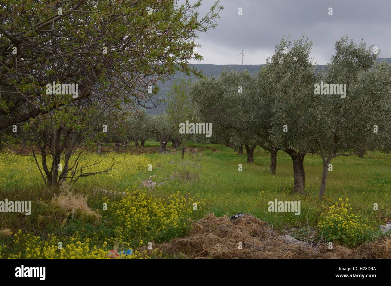Nature photography out in the open space Stock Photo - Alamy