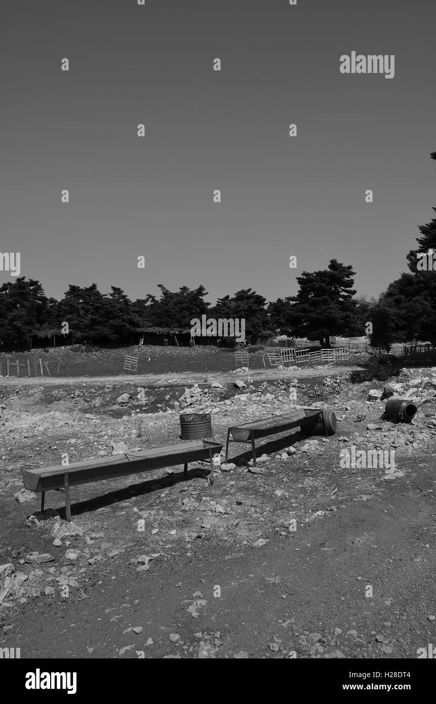 Nature photography out in the open space Stock Photo - Alamy