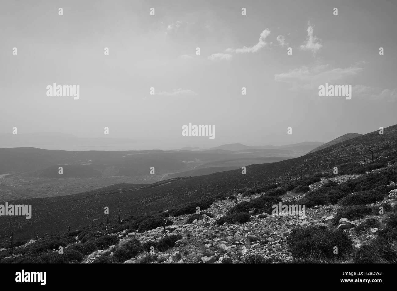 Nature photography out in the open space Stock Photo - Alamy