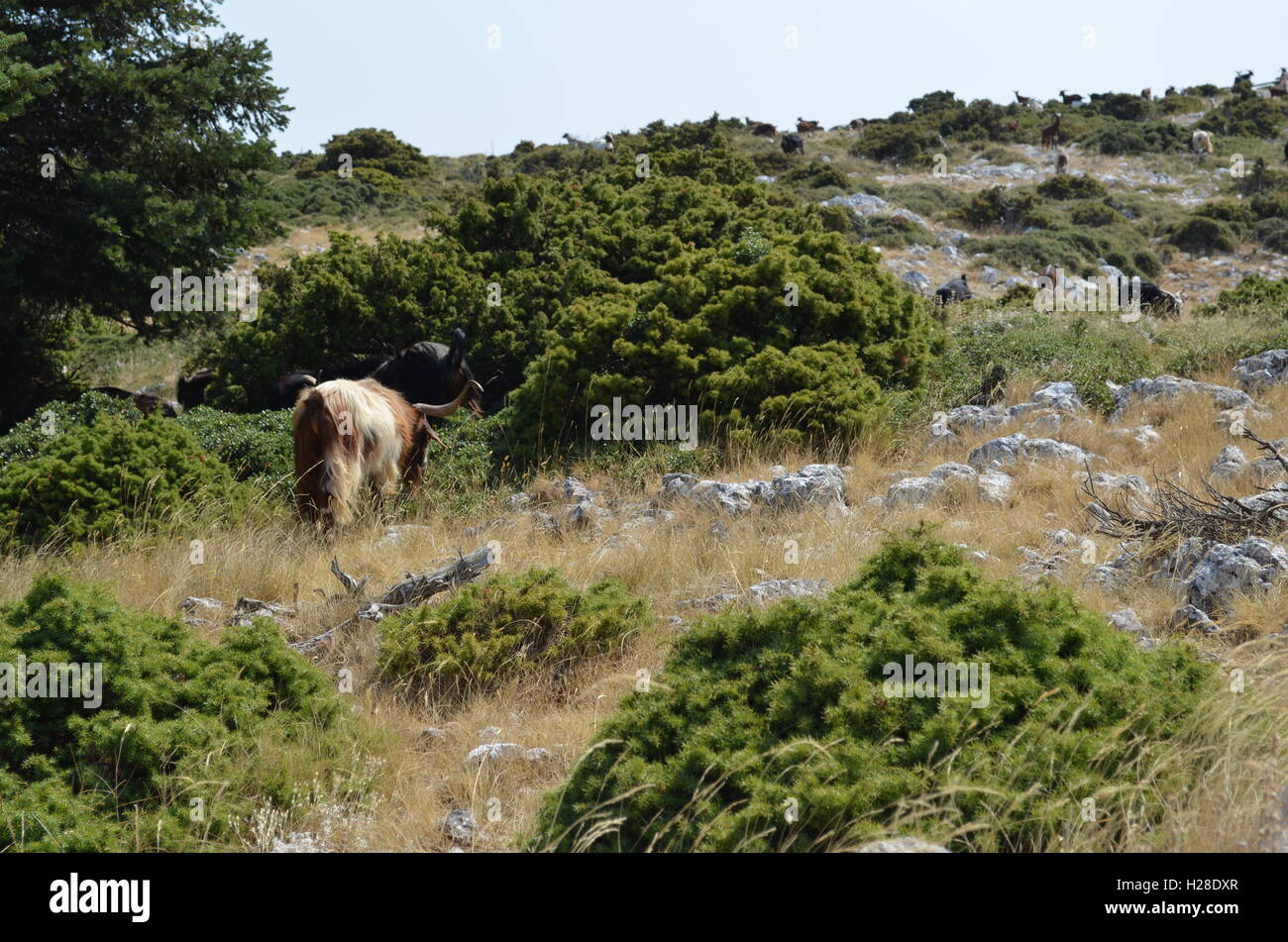 Nature photography out in the open space Stock Photo - Alamy