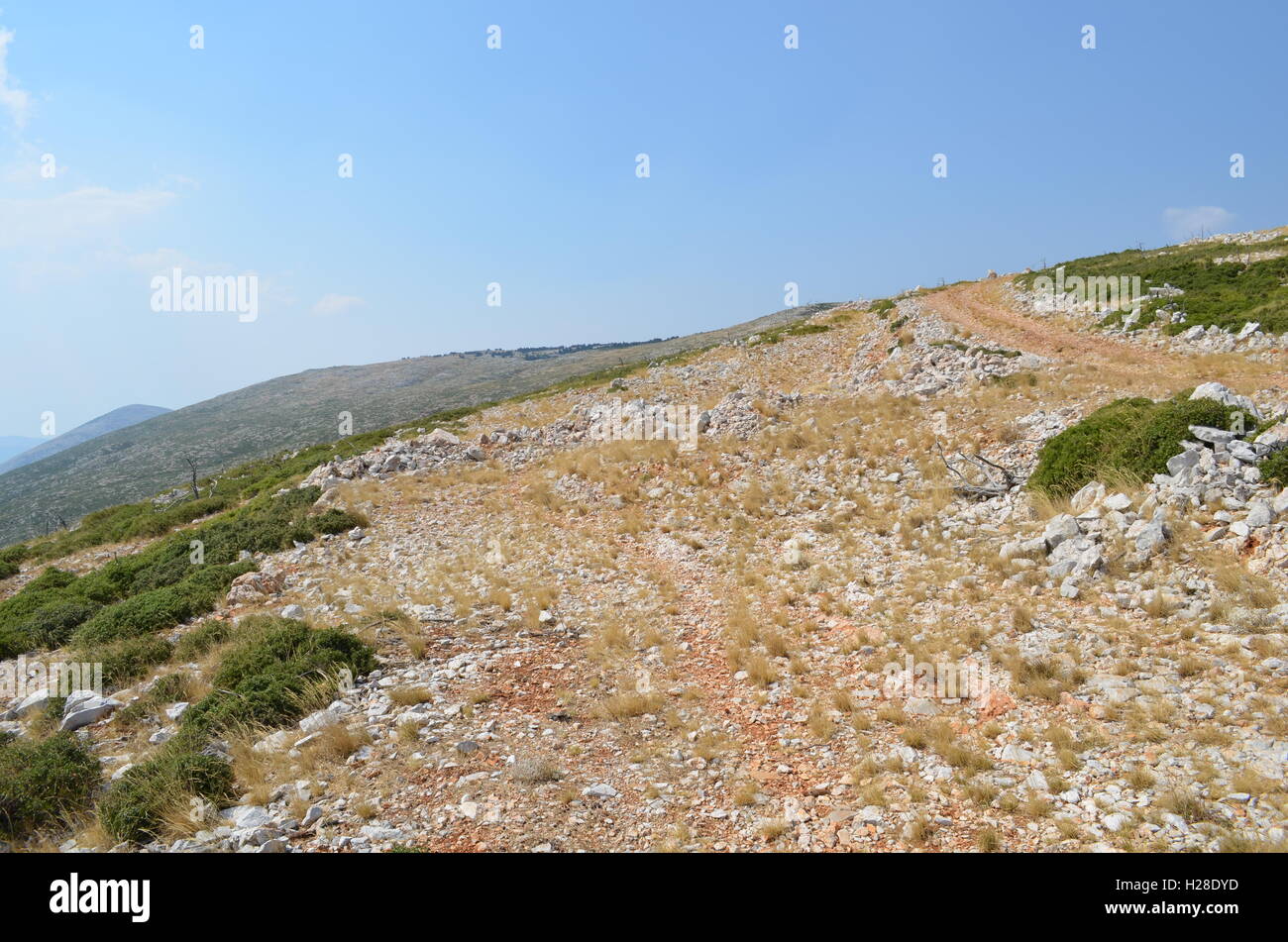 Nature photography out in the open space Stock Photo - Alamy