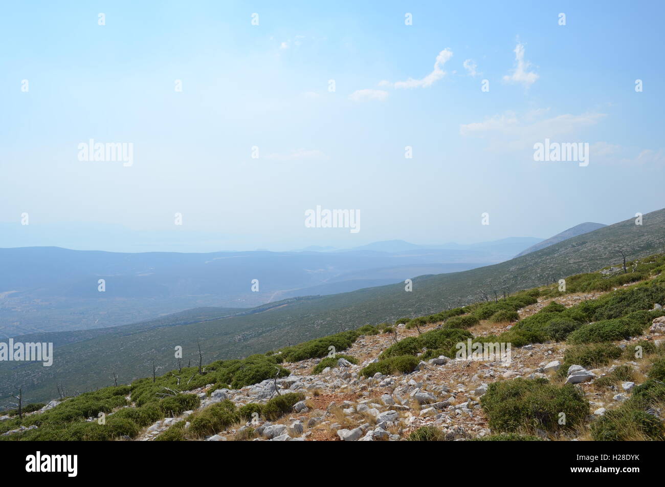 Nature photography out in the open space Stock Photo - Alamy