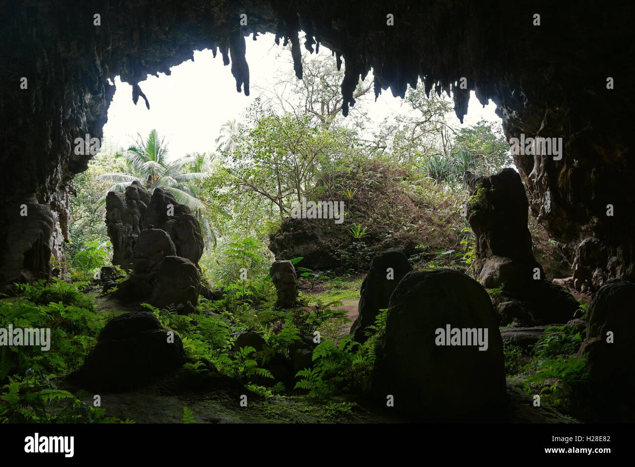 Inside large limestone cave Ana aeo on Rurutu island, south Pacific ...