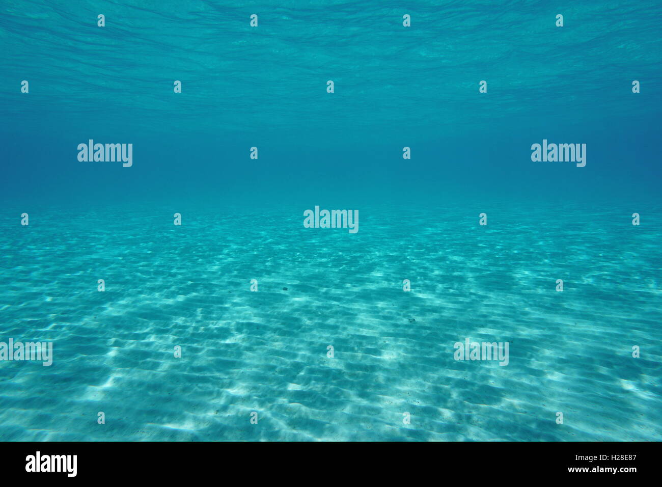 Natural underwater scene, shallow sandy seabed below water surface ...