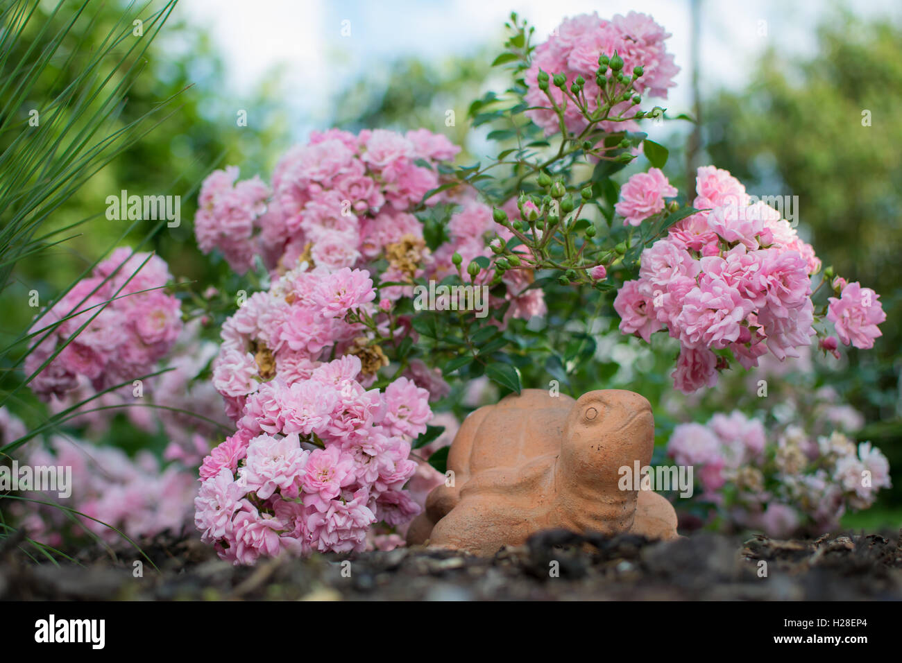 A statue of a turtle sitting beneath a pink rose bush in a garden Stock ...