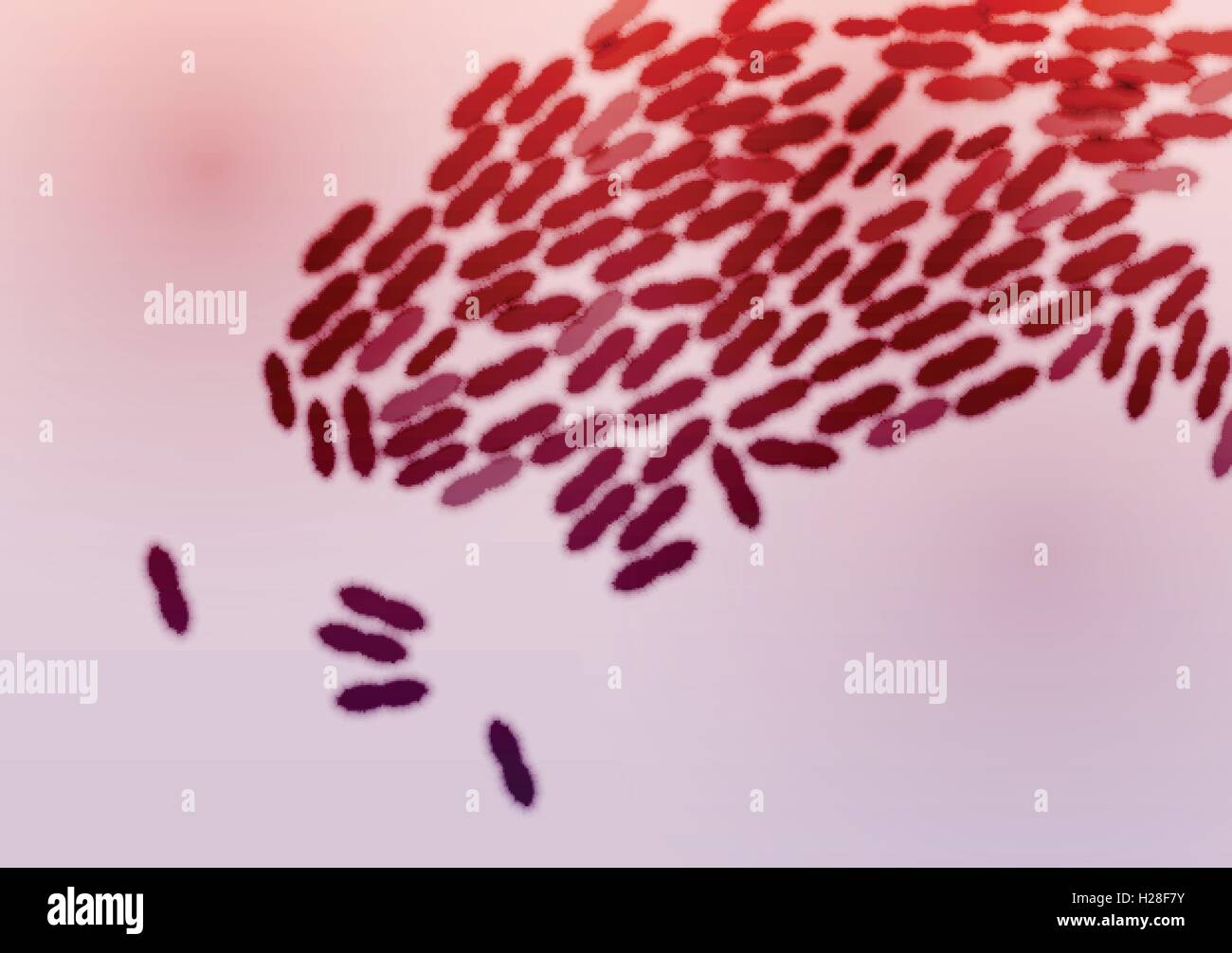 Bacteria yeast Stock Vector Images - Alamy