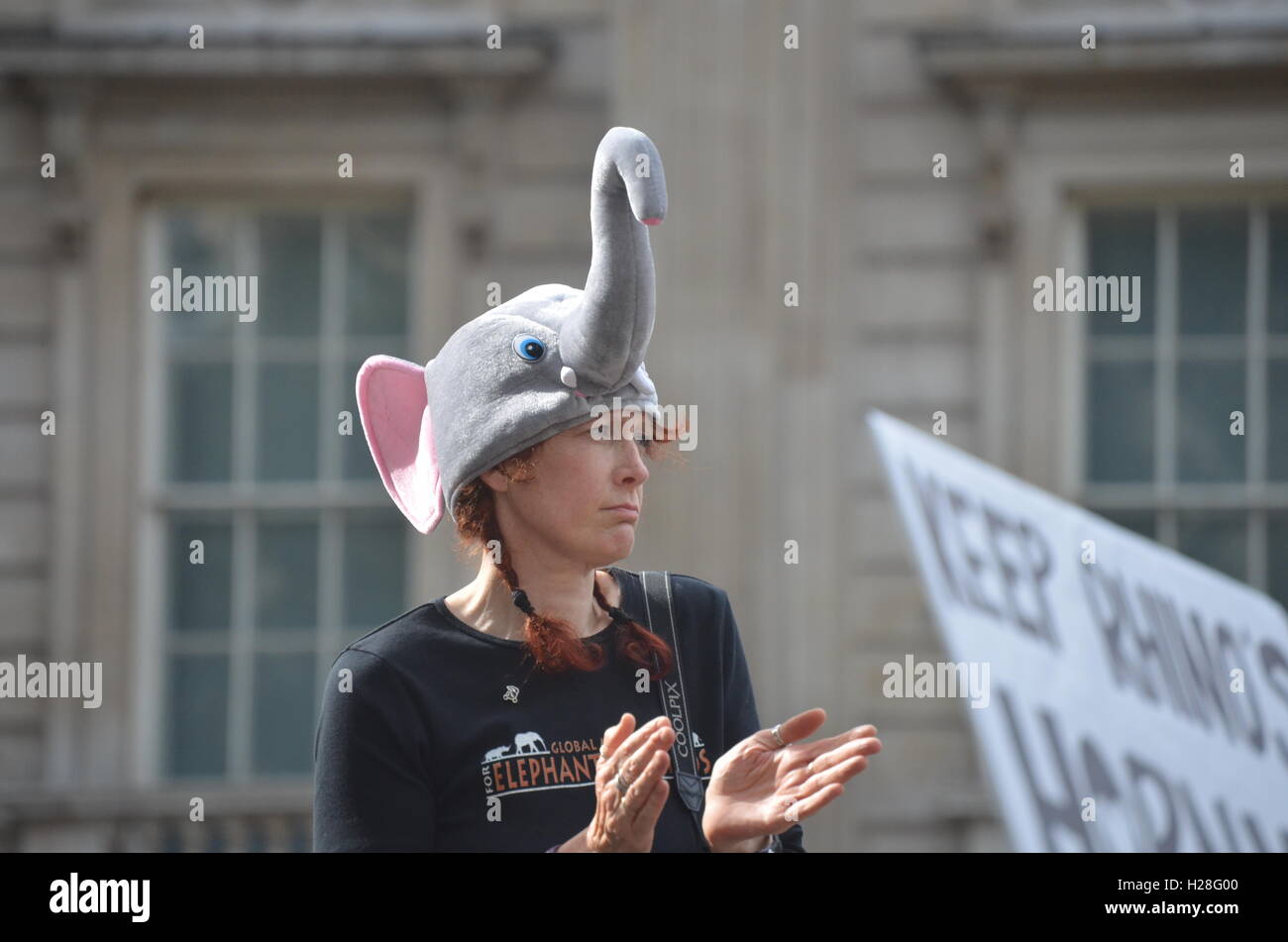 Protesters demonstrating to save Elephants and Rhinos Stock Photo - Alamy