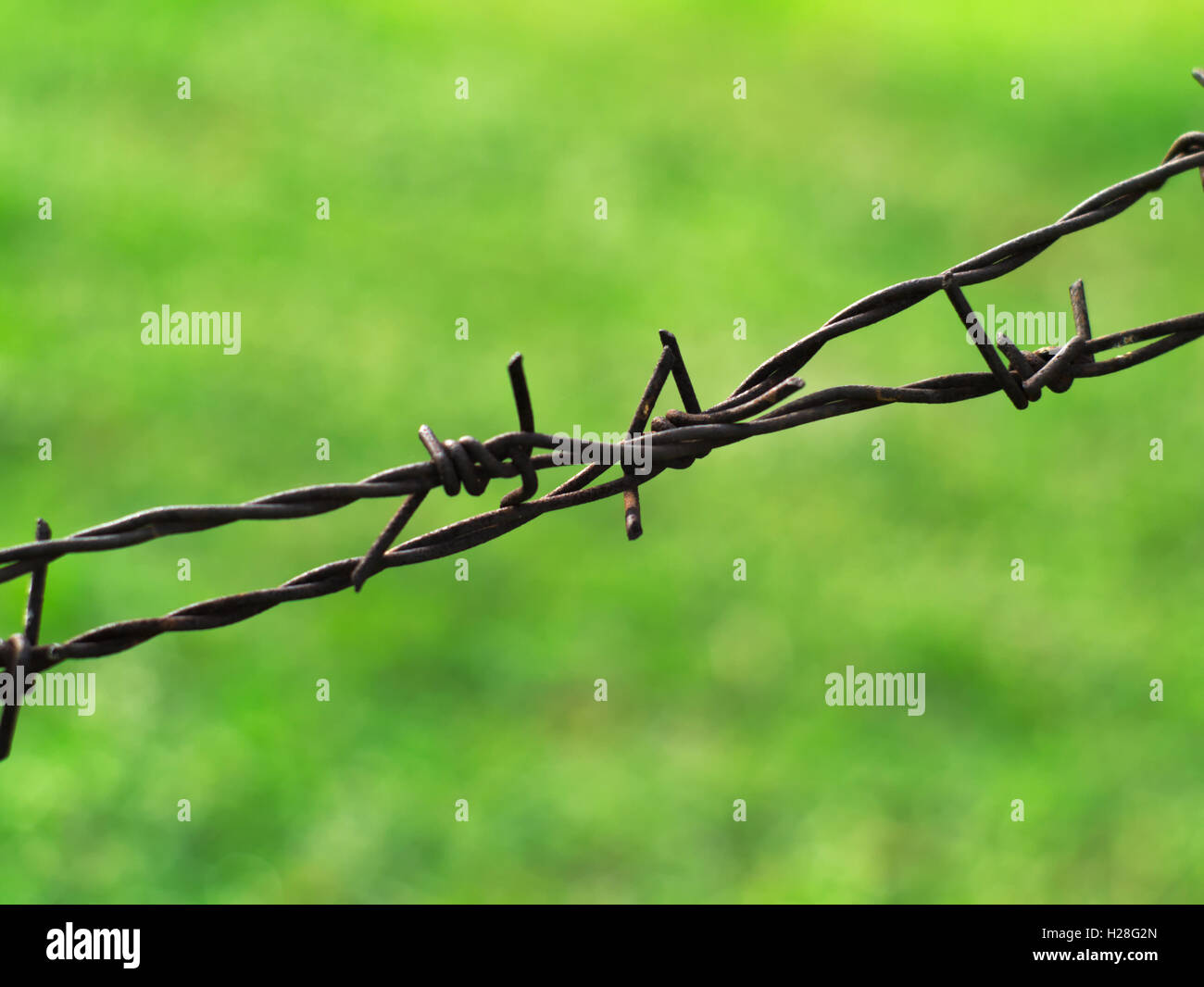 Barbed wires hi-res stock photography and images - Alamy