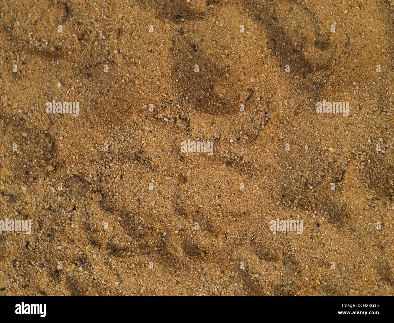 natural brown coarse sand texture Stock Photo - Alamy