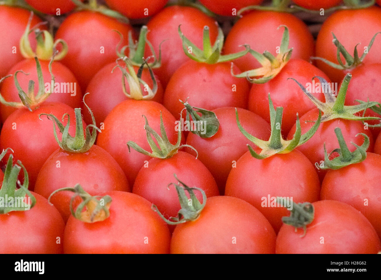Cherry tomato display hi-res stock photography and images - Alamy