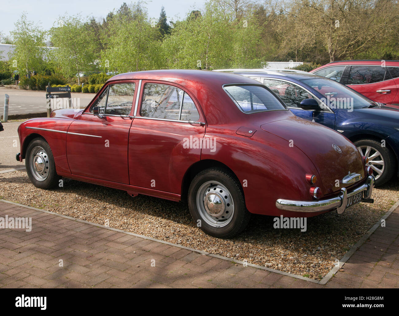 MG Magnette 1953-1956 Stock Photo - Alamy