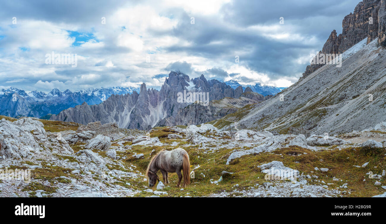 adventure, alpine, alps, amazing, auronzo, background, beautiful, cime ...