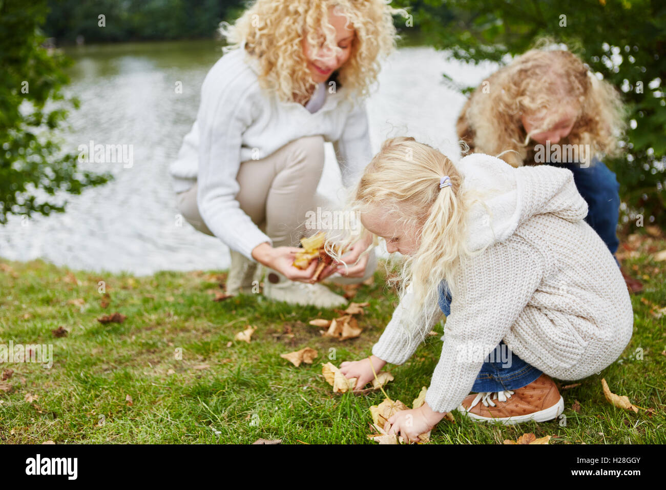Family with two kids collecting leaves at park in autumn Stock Photo ...