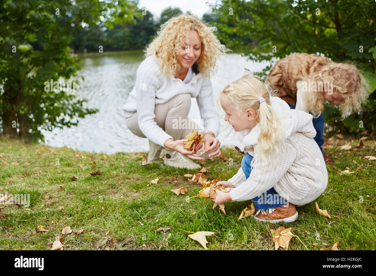 Woman and children collecting leaves as a family in the fall Stock ...