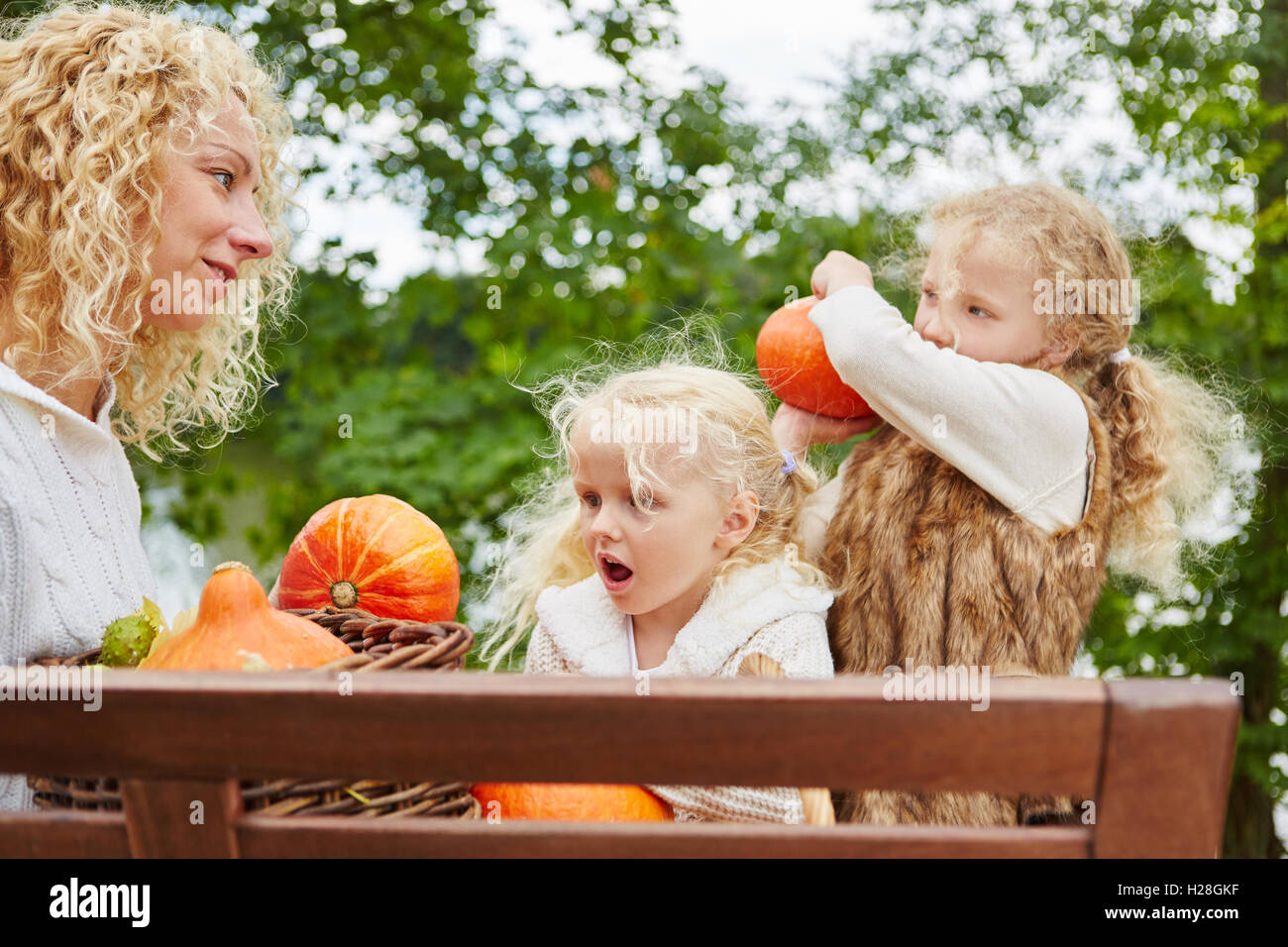 Pumpkins for kids hi-res stock photography and images - Alamy