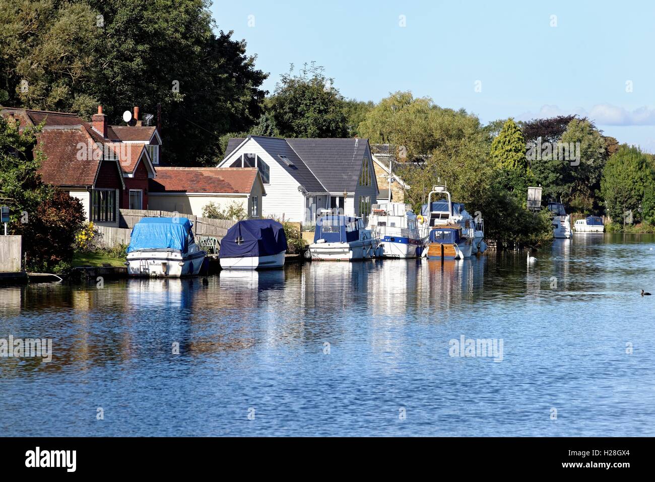 River Thames at Penton Hook,Laleham Surrey UK Stock Photo - Alamy
