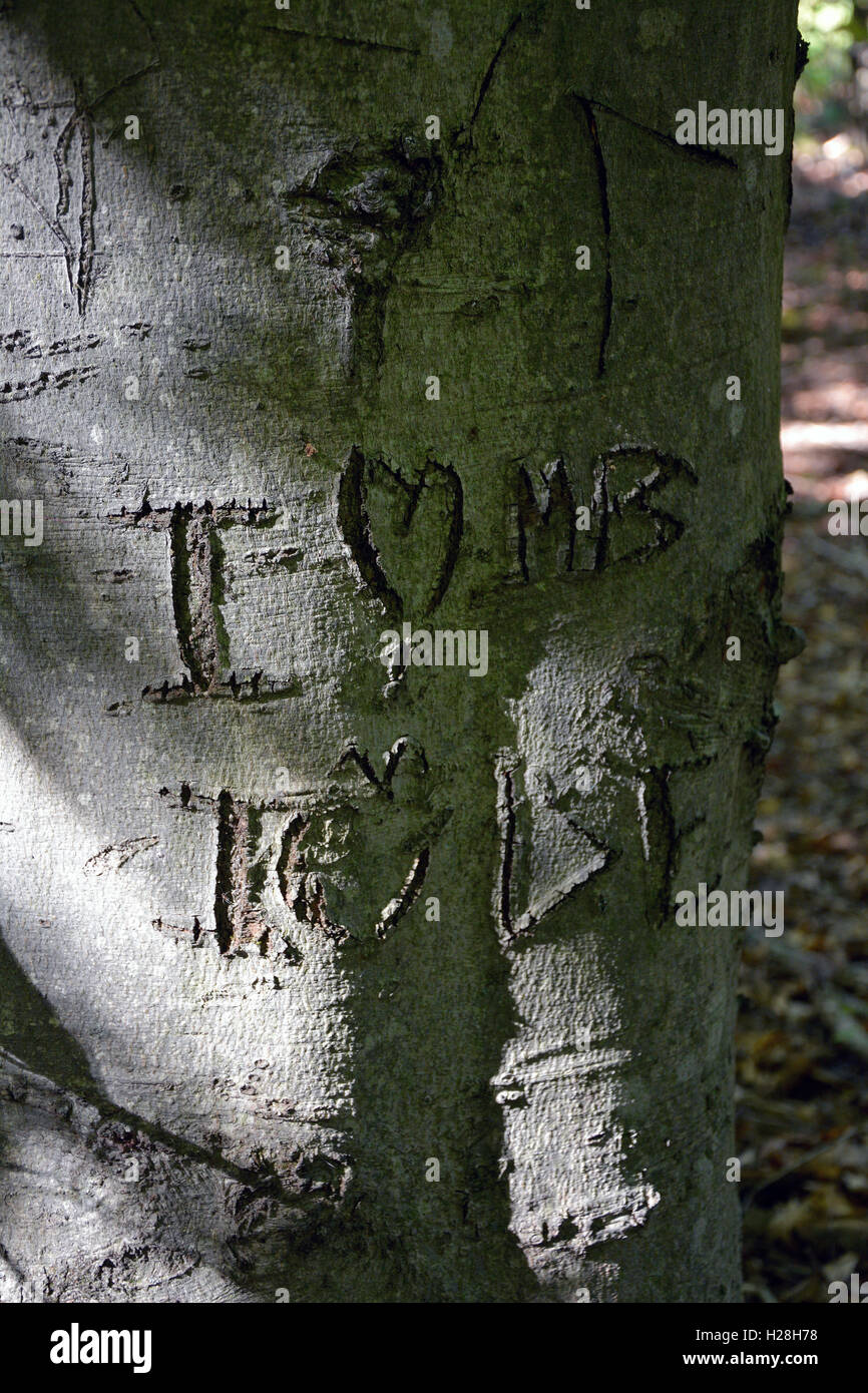 Tree carving initials hi-res stock photography and images - Alamy