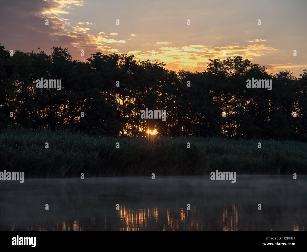 Sunrise in the river with reflex. Mirrored forest line on the river ...