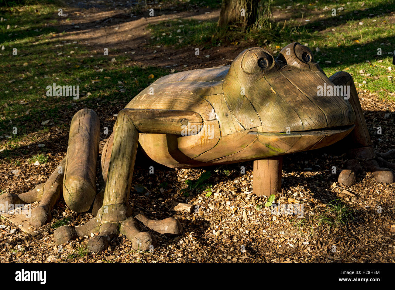 Wooden carved frog at Rushcliffe Country Park, Ruddington, Nottingham ...