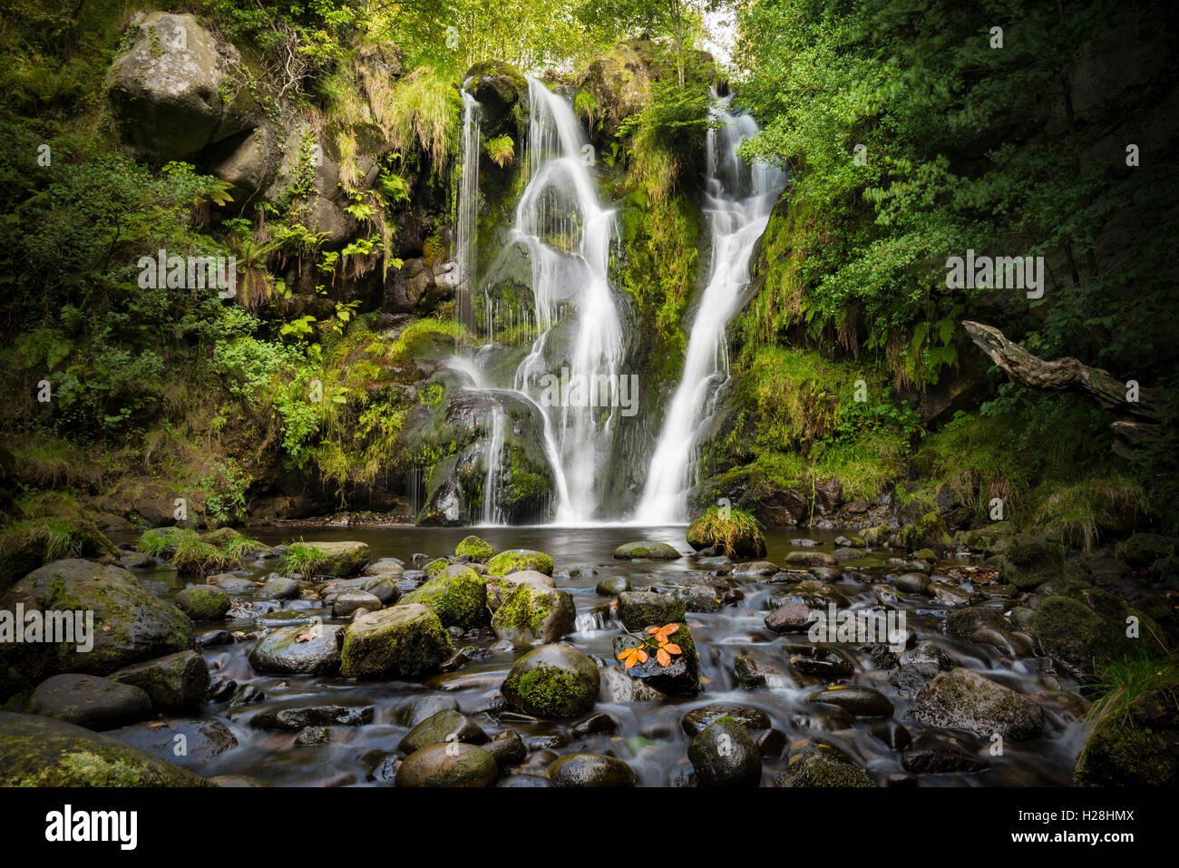 Abbey falls hi-res stock photography and images - Alamy