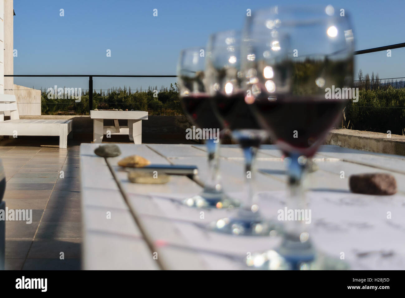 Sky and wine view Stock Photo - Alamy