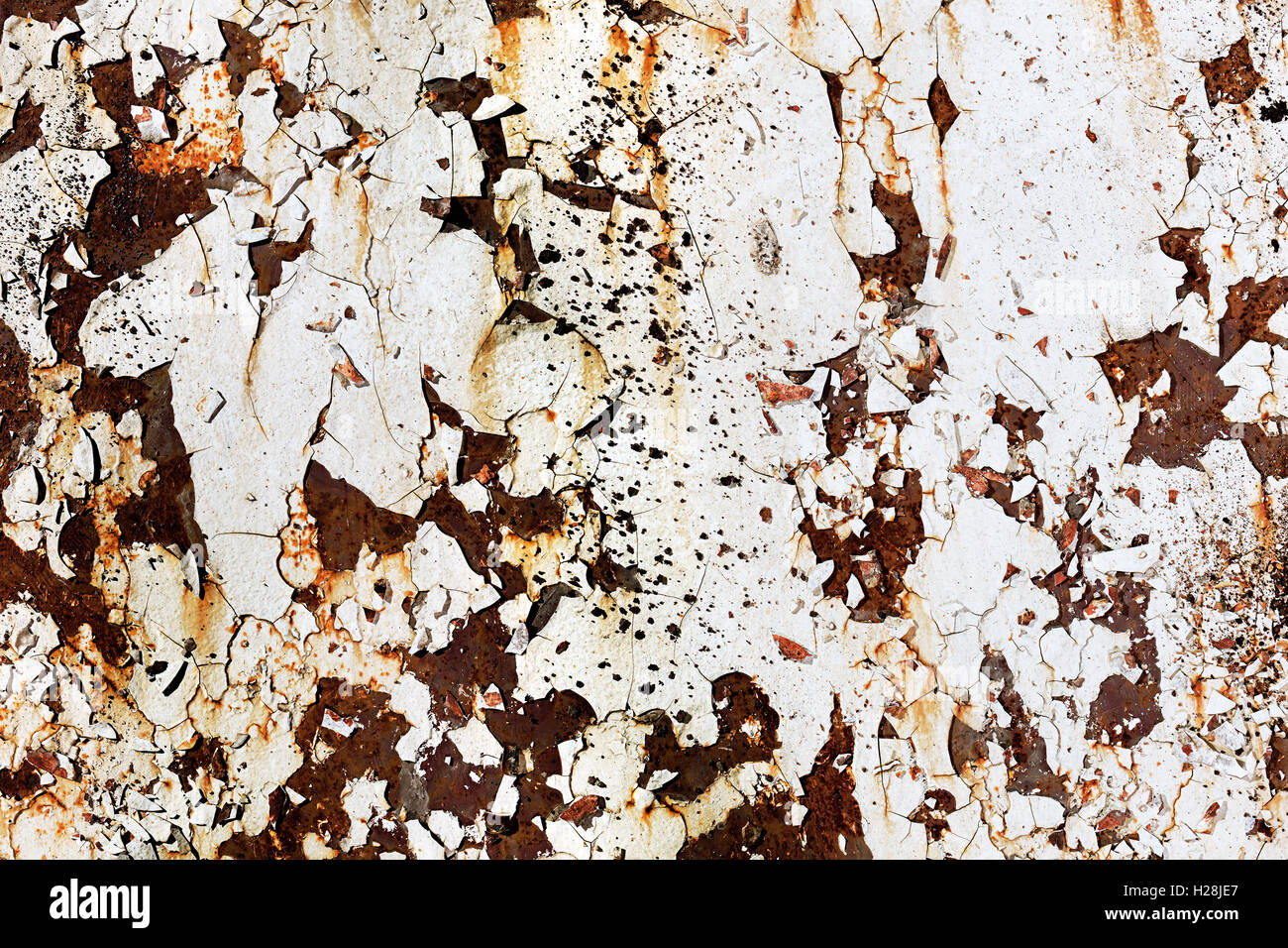 Corroded white metal background. Rusted white painted metal wall. Rusty ...