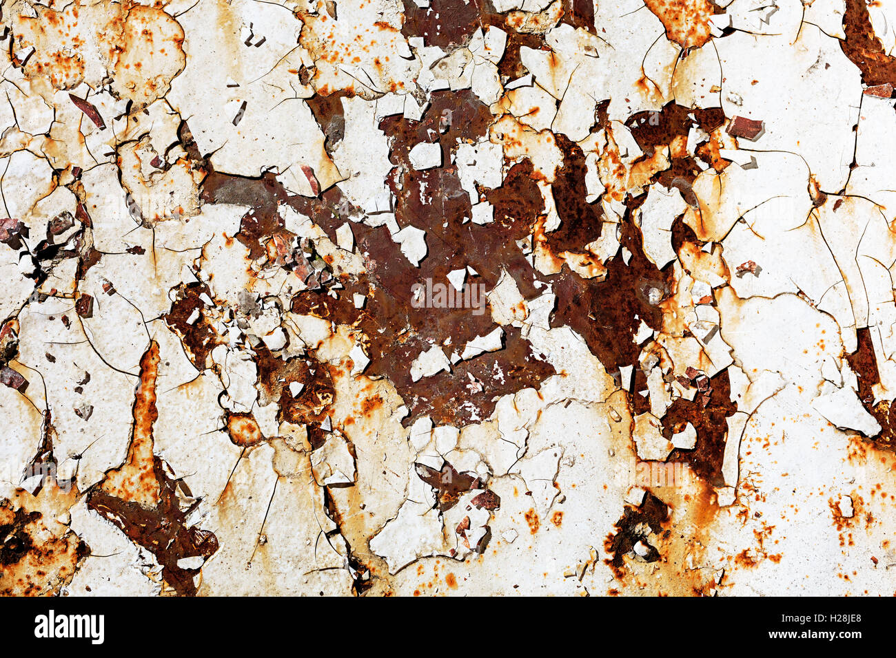 Corroded white metal background. Rusted white painted metal wall. Rusty ...