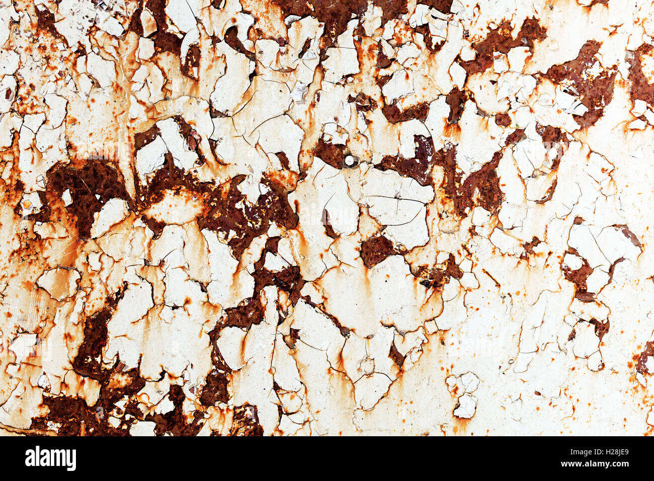 Corroded white metal background. Rusted white painted metal wall. Rusty ...