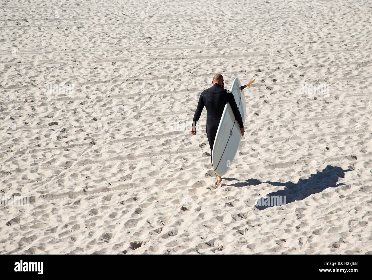 A surfer walking on the beach with his board Stock Photo - Alamy