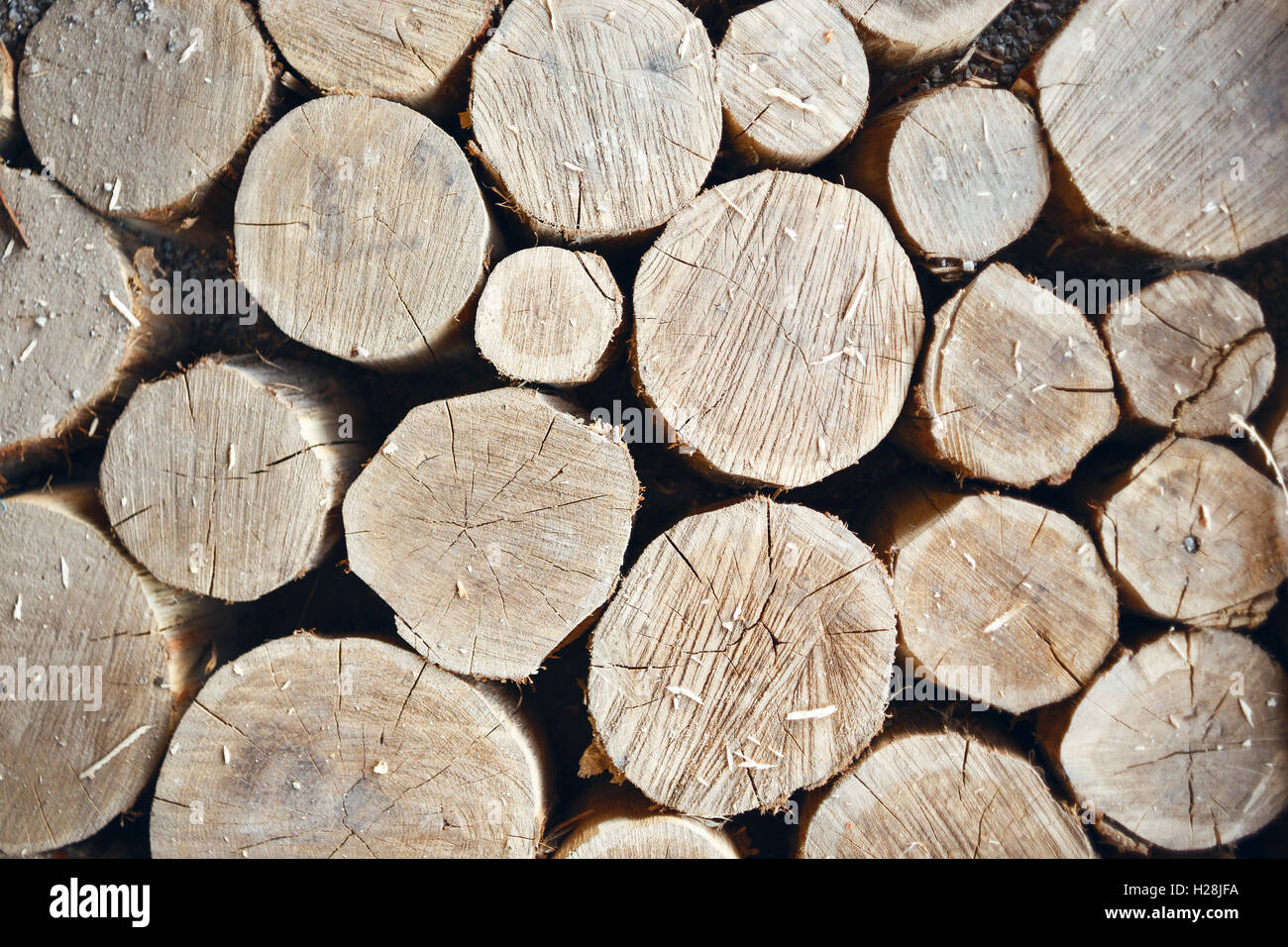 Round teak wood stump background Stock Photo - Alamy