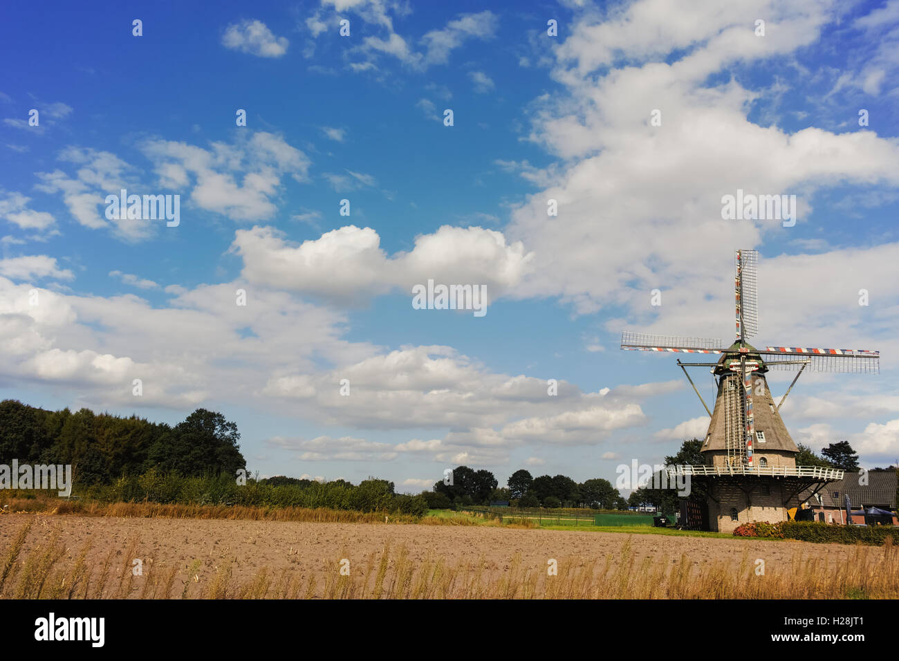 Dutch flour windmill landscape Stock Photo - Alamy