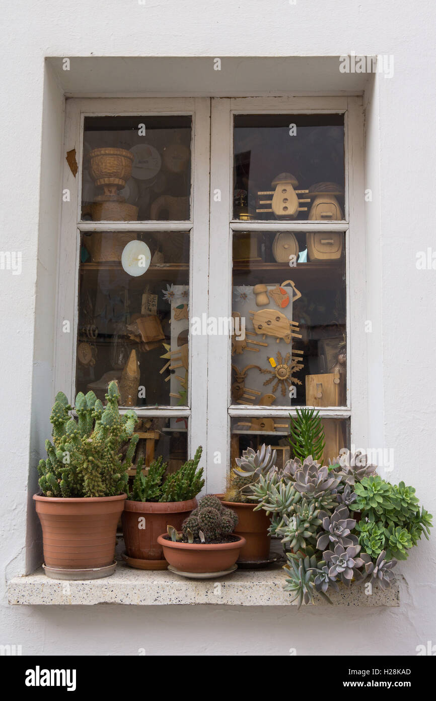 Varied Cactus on a small shop window ledge Stock Photo - Alamy