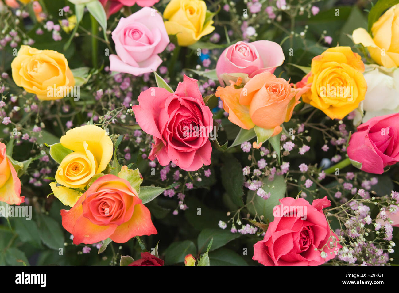 Bouquets assorted multicolored rose Stock Photo - Alamy