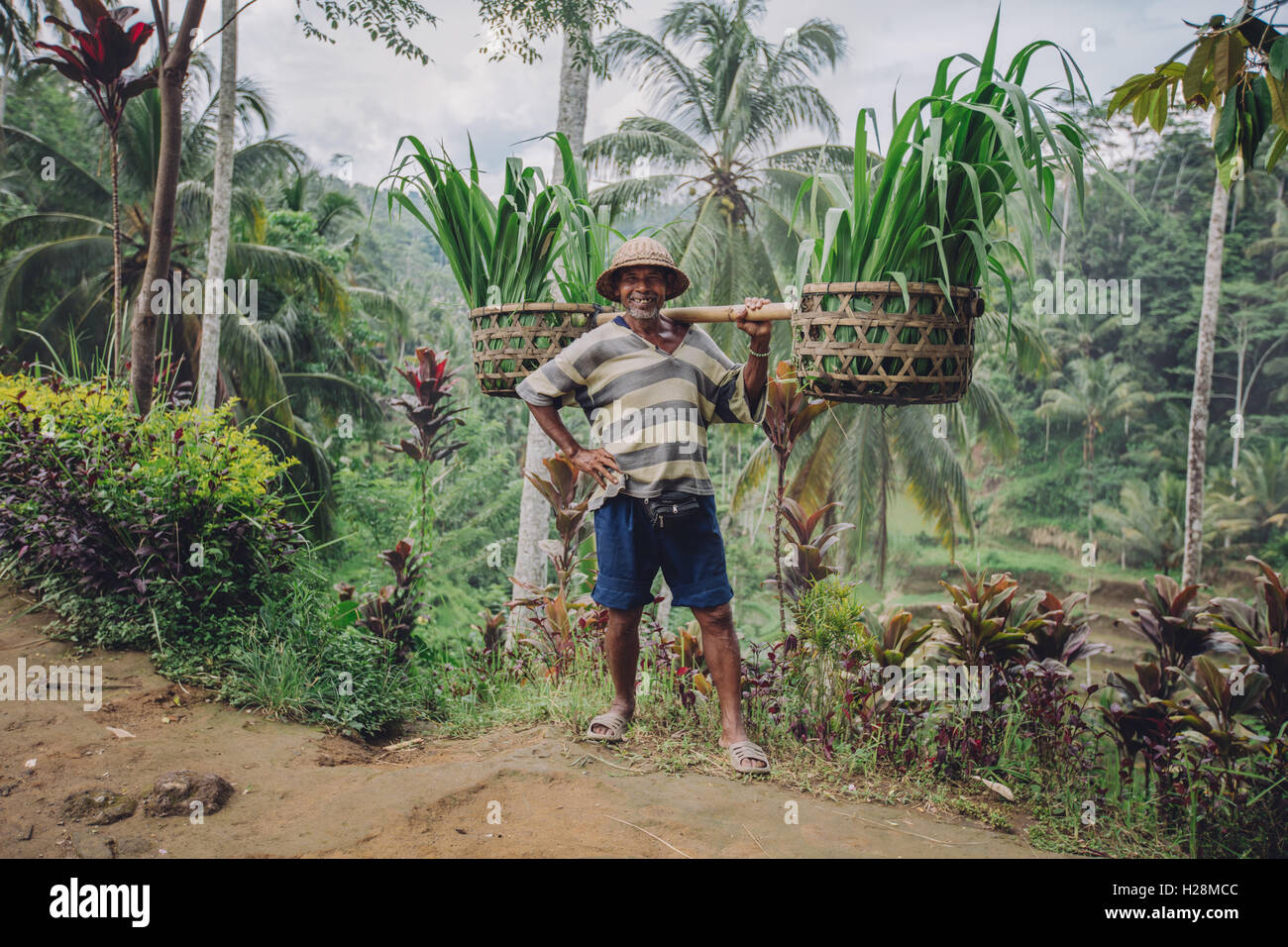 Full length shot of confident old man carrying seedlings on his ...