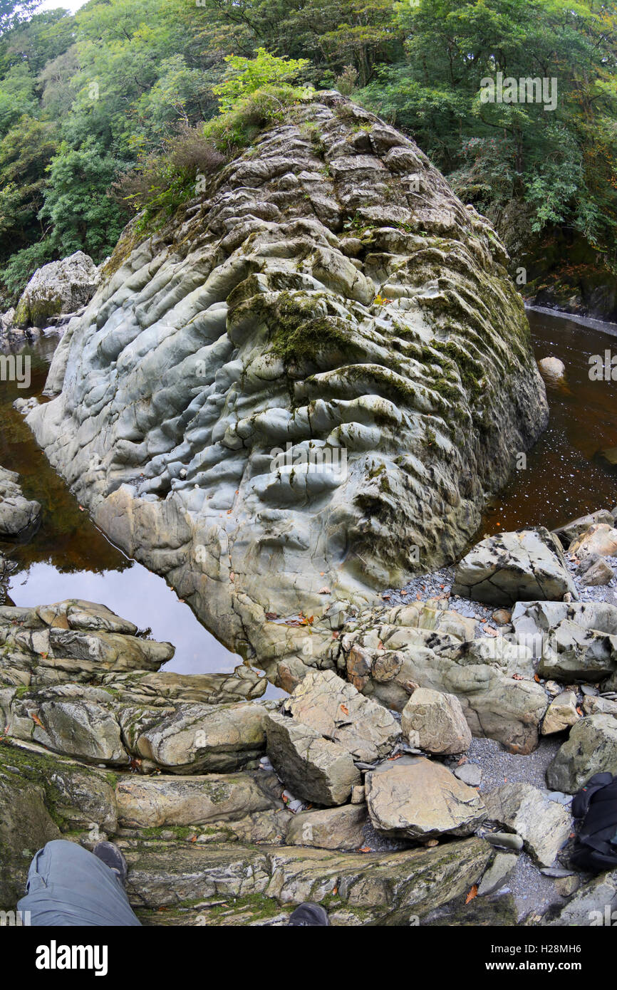 Afon Conwy (River Conway) between Betws y Coed and Pentrefoelas in ...