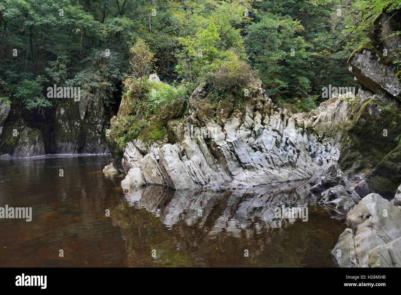 Afon Conwy (River Conway) between Betws y Coed and Pentrefoelas in ...