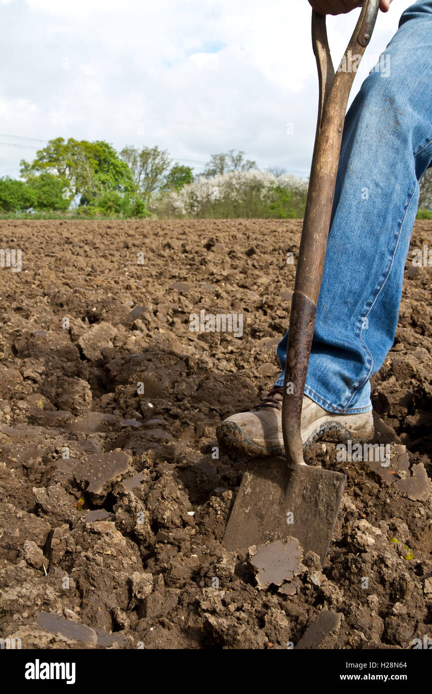 Close up of someone pushing a spade into soil with his foot in the ...