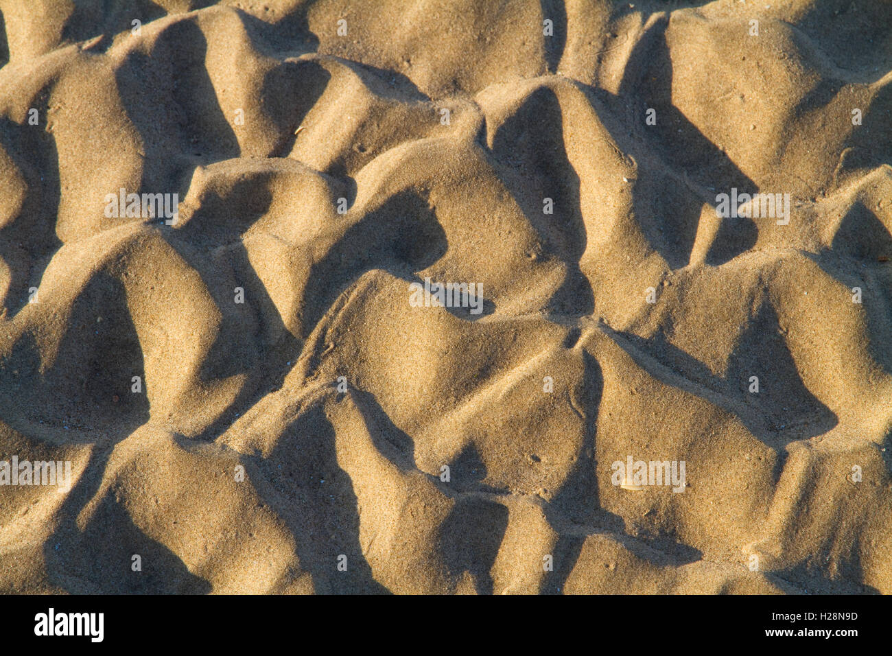 Complex beach sand ripple pattern close up at sunset Stock Photo - Alamy