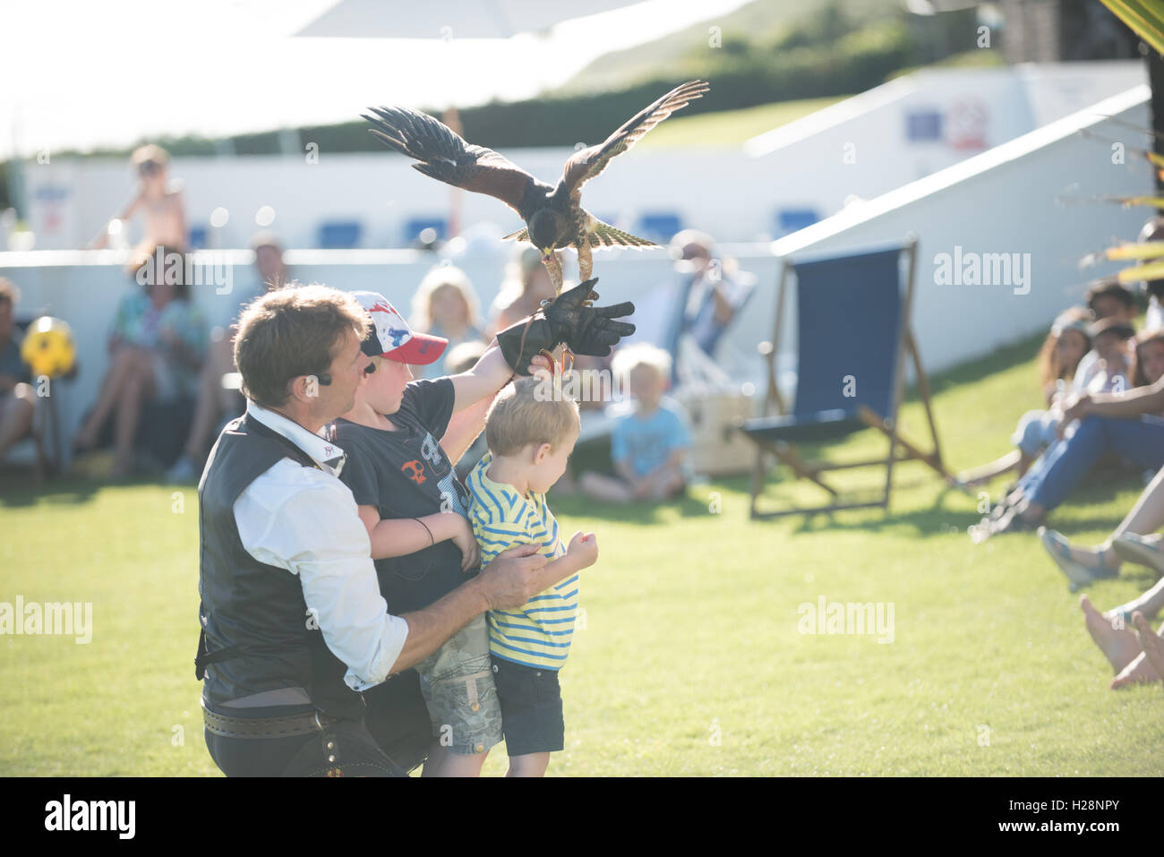 A falconer with gauntlet showing kids how to fly a hawk Stock Photo - Alamy