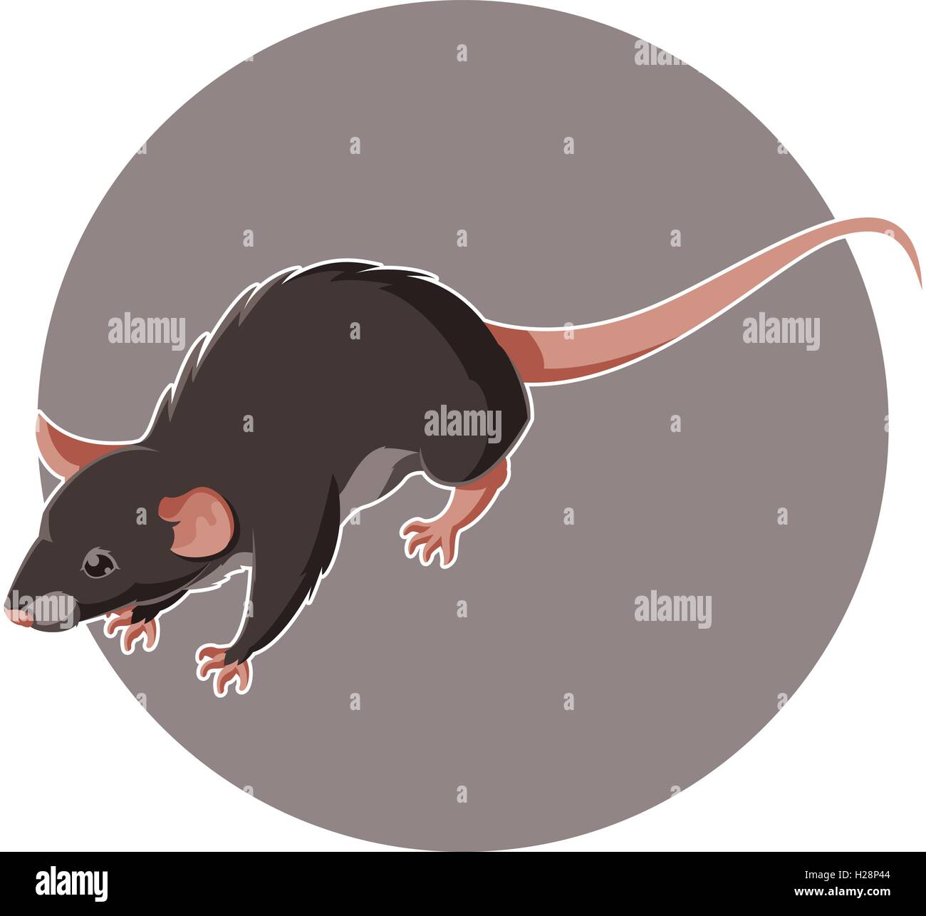 Isometric rat icon Stock Vector Image & Art - Alamy