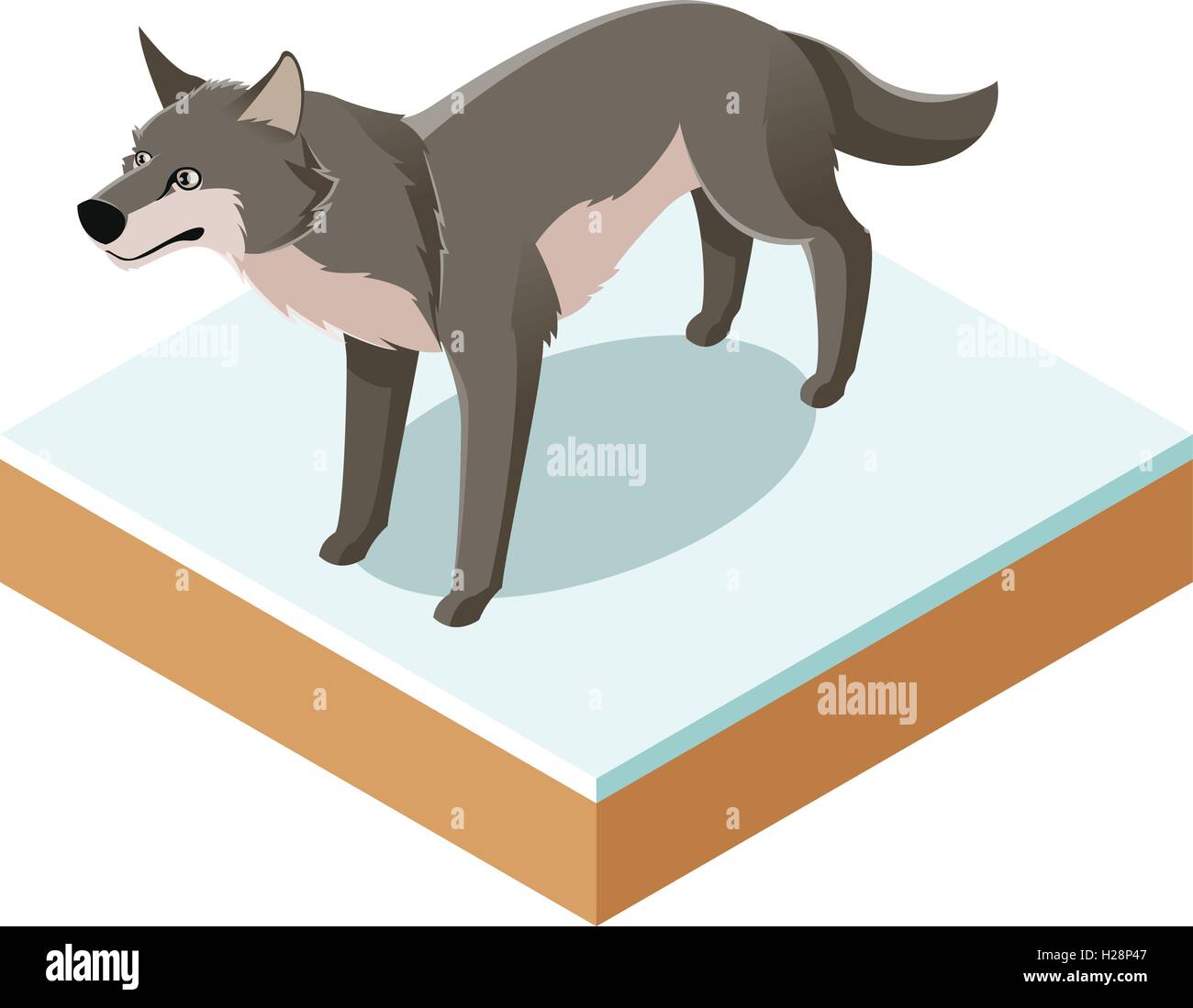 Isometric wolf icon hi-res stock photography and images - Alamy