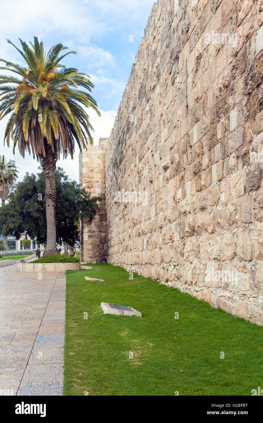 Walls of Ancient City and palm tree, Jerusalem, Israel Stock Photo - Alamy