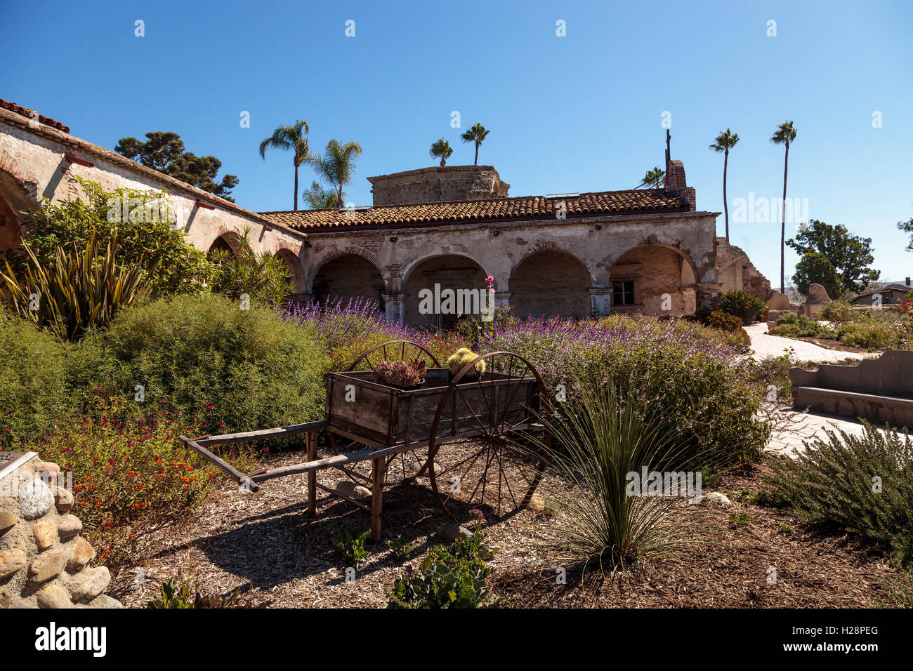 San juan capistrano swallows hi-res stock photography and images - Alamy