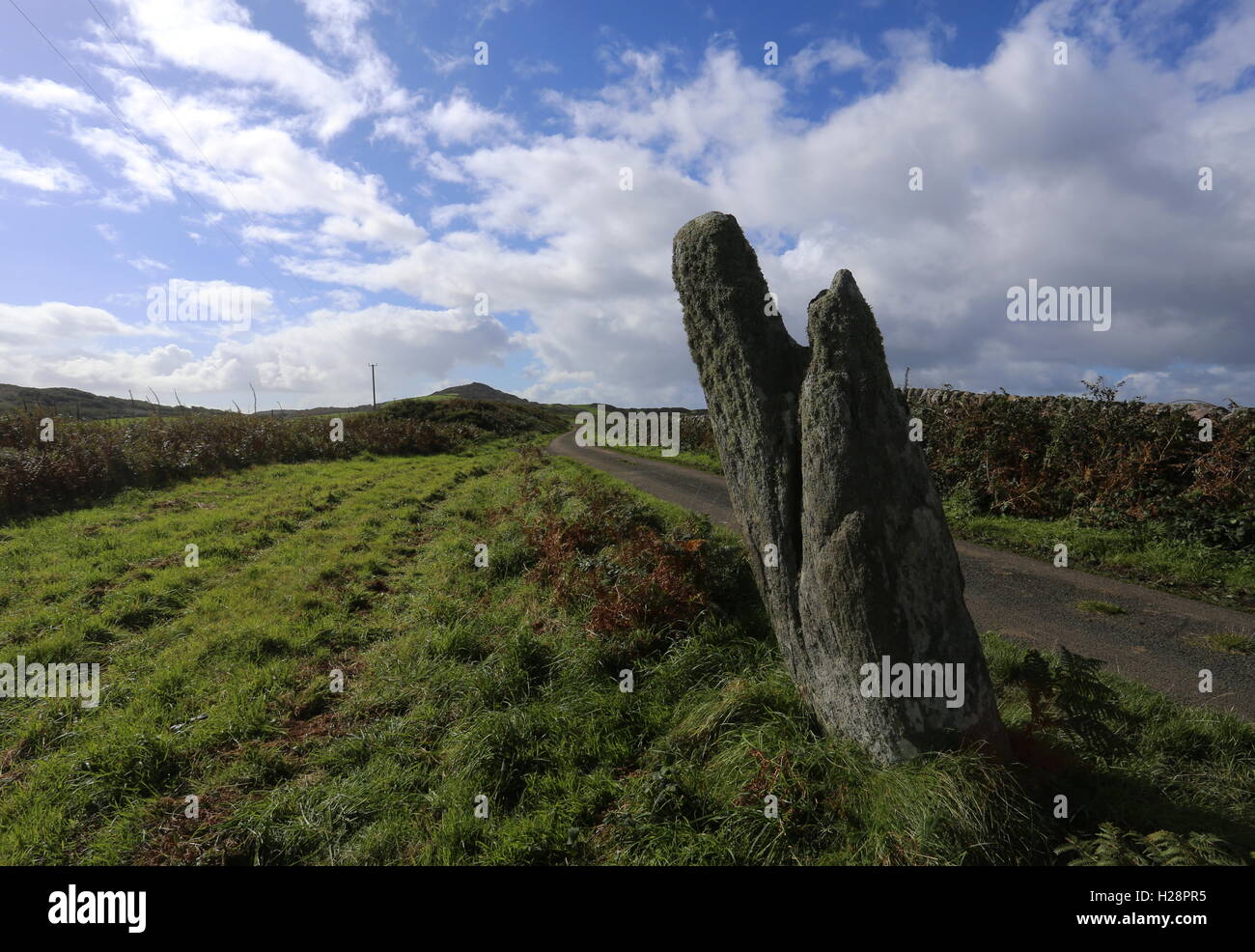 Tooth Stone Stock Photos & Tooth Stone Stock Images - Alamy