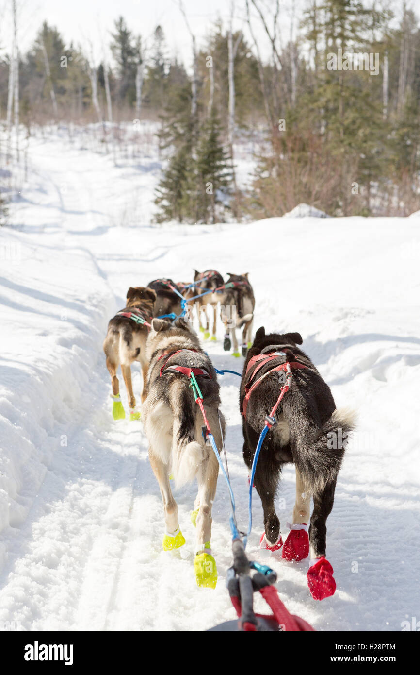 Michigan upper peninsula snow hi-res stock photography and images - Alamy