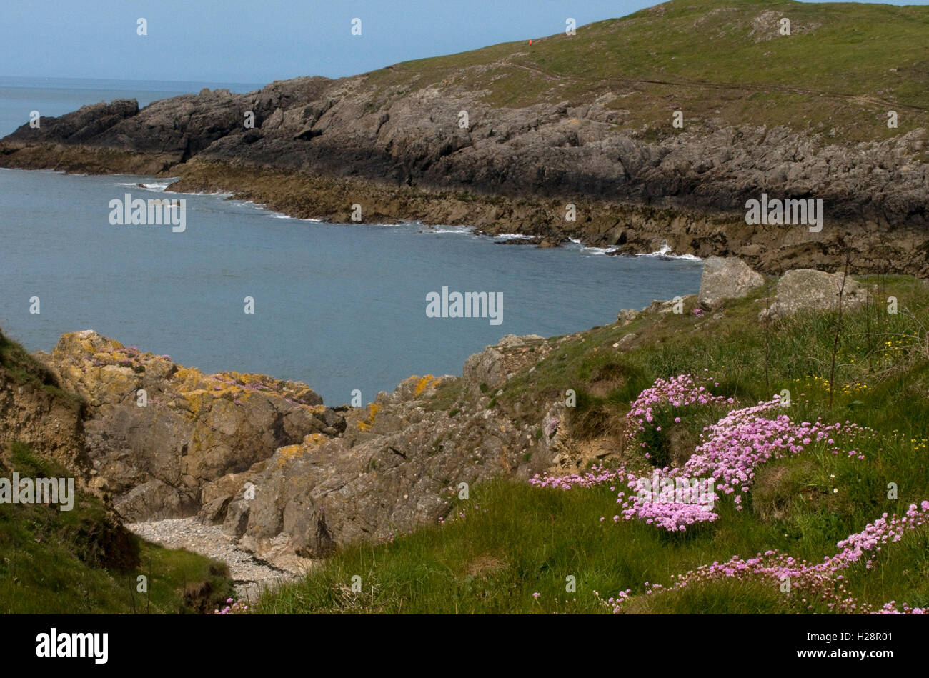 A bay in Springtime Stock Photo - Alamy