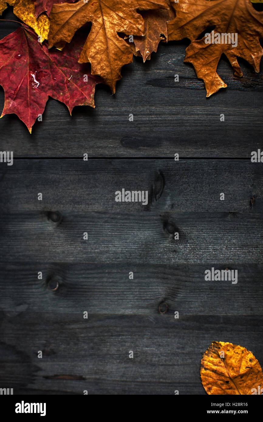Wood autumn background Stock Photo - Alamy